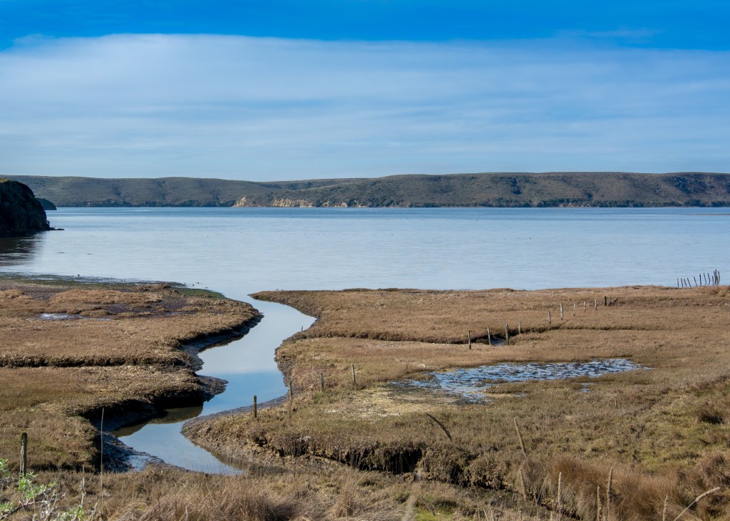Human Estuaries™ Our Polluted Streams – URBAN WILDERNESS PROJECT™